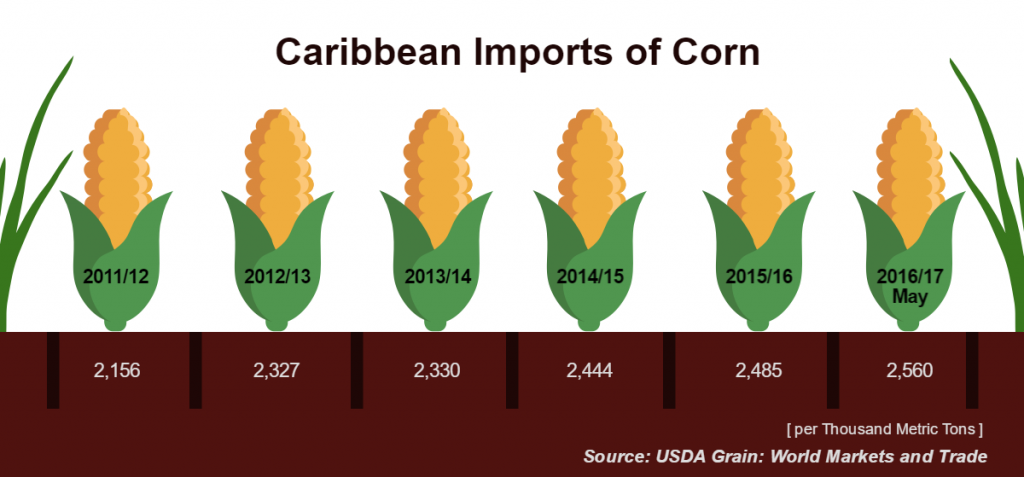 Maize (corn) – Caribbean Agri-Business
