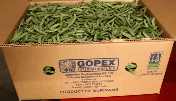 Company to look out for: Gopex International N.V. – Caribbean Agri-Business